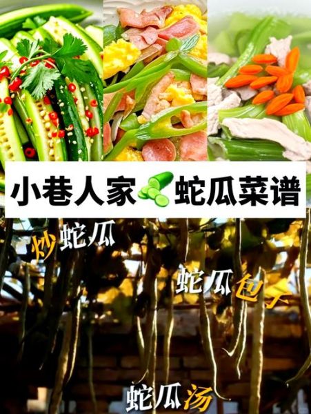 蛇瓜的功效与作用_蛇瓜怎么吃最营养-第1张图片-山城妙识