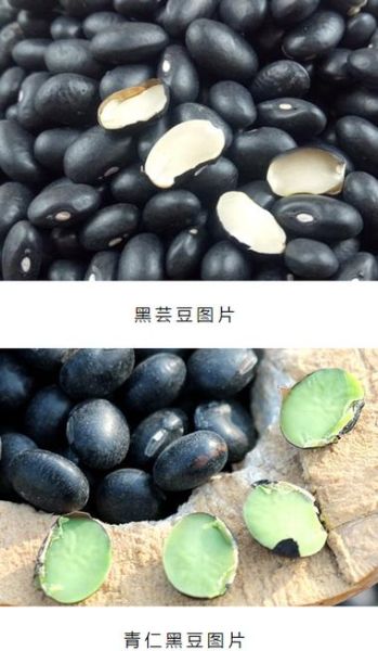 黑芸豆和黑豆的区别_哪个更补肾-第3张图片-山城妙识 黑芸豆和黑豆的区别_哪个更补肾-第3张图片-山城妙识