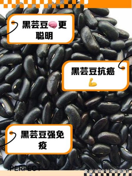 黑芸豆和黑豆的区别_哪个更补肾-第1张图片-山城妙识 黑芸豆和黑豆的区别_哪个更补肾-第1张图片-山城妙识