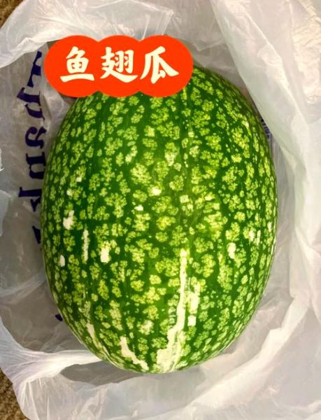 鱼翅瓜怎么做好吃_鱼翅瓜的家常做法-第1张图片-山城妙识 鱼翅瓜怎么做好吃_鱼翅瓜的家常做法-第1张图片-山城妙识