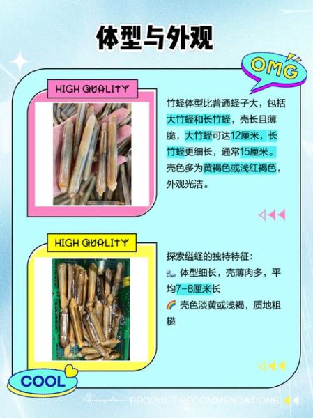 长竹蛏怎么挑选_长竹蛏和竹蛏区别-第2张图片-山城妙识 长竹蛏怎么挑选_长竹蛏和竹蛏区别-第2张图片-山城妙识