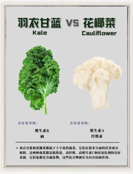 甘蓝科蔬菜有哪些_甘蓝科蔬菜营养区别-第2张图片-山城妙识 甘蓝科蔬菜有哪些_甘蓝科蔬菜营养区别-第2张图片-山城妙识