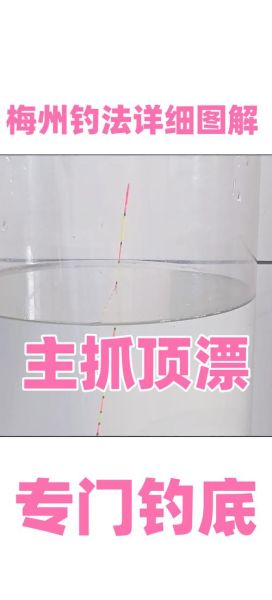 鲮鱼怎么钓用什么饵料_野钓鲮鱼技巧-第1张图片-山城妙识 鲮鱼怎么钓用什么饵料_野钓鲮鱼技巧-第1张图片-山城妙识
