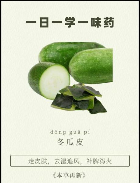 冬瓜皮的功效与作用_冬瓜皮怎么吃好-第1张图片-山城妙识 冬瓜皮的功效与作用_冬瓜皮怎么吃好-第1张图片-山城妙识