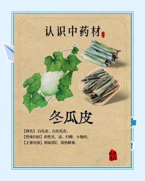冬瓜皮的功效与作用_冬瓜皮怎么吃好-第3张图片-山城妙识 冬瓜皮的功效与作用_冬瓜皮怎么吃好-第3张图片-山城妙识