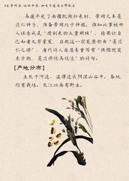薏米的营养价值及功效与作用_薏米怎么吃最养人-第2张图片-山城妙识 薏米的营养价值及功效与作用_薏米怎么吃最养人-第2张图片-山城妙识