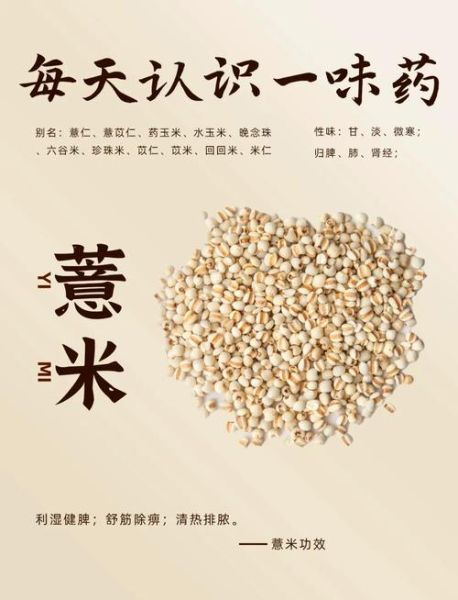 薏米的营养价值及功效与作用_薏米怎么吃最养人-第1张图片-山城妙识 薏米的营养价值及功效与作用_薏米怎么吃最养人-第1张图片-山城妙识
