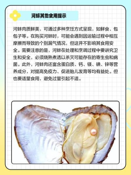 河蚌的营养价值有哪些_河蚌的功效与作用及禁忌-第1张图片-山城妙识 河蚌的营养价值有哪些_河蚌的功效与作用及禁忌-第1张图片-山城妙识