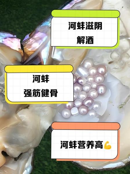 河蚌的营养价值有哪些_河蚌的功效与作用及禁忌-第2张图片-山城妙识 河蚌的营养价值有哪些_河蚌的功效与作用及禁忌-第2张图片-山城妙识