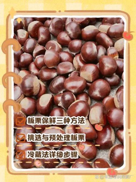 熟板栗怎么保存不会坏_熟板栗可以放多久-第2张图片-山城妙识 熟板栗怎么保存不会坏_熟板栗可以放多久-第2张图片-山城妙识