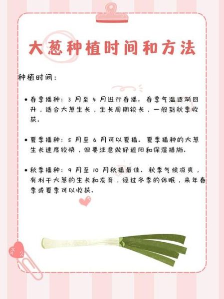 葱怎么种_葱的种植方法和时间-第1张图片-山城妙识 葱怎么种_葱的种植方法和时间-第1张图片-山城妙识