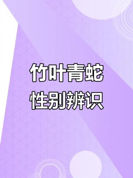 竹叶青蛇和翠青蛇的区别_如何一眼分辨-第1张图片-山城妙识 竹叶青蛇和翠青蛇的区别_如何一眼分辨-第1张图片-山城妙识