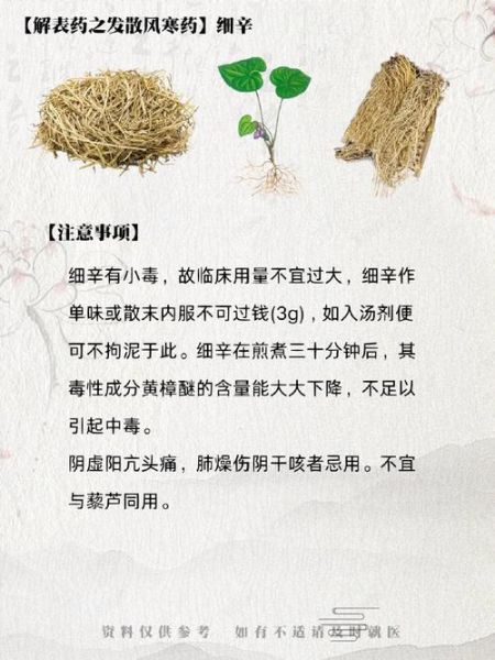 细辛的功效与作用_细辛用量多少克安全-第2张图片-山城妙识 细辛的功效与作用_细辛用量多少克安全-第2张图片-山城妙识