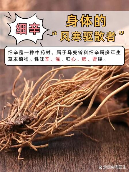 细辛的功效与作用_细辛用量多少克安全-第1张图片-山城妙识 细辛的功效与作用_细辛用量多少克安全-第1张图片-山城妙识