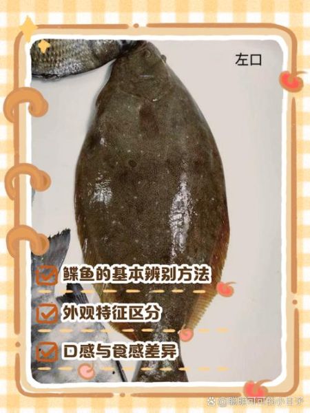 鲽鱼是海鱼还是淡水鱼_鲽鱼生活在哪里-第2张图片-山城妙识