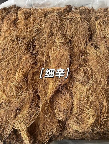 细辛的功效与作用_细辛用量多少克安全-第3张图片-山城妙识 细辛的功效与作用_细辛用量多少克安全-第3张图片-山城妙识