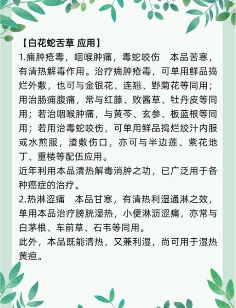 白花蛇舌草抗肿瘤功效_白花蛇舌草怎么服用-第1张图片-山城妙识 白花蛇舌草抗肿瘤功效_白花蛇舌草怎么服用-第1张图片-山城妙识