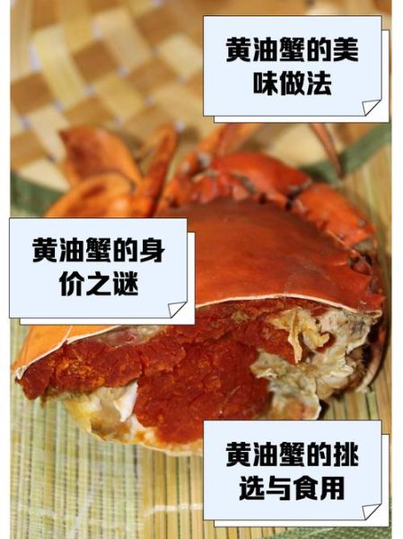 黄油蟹多少钱一斤_黄油蟹为什么这么贵-第3张图片-山城妙识 黄油蟹多少钱一斤_黄油蟹为什么这么贵-第3张图片-山城妙识