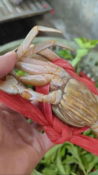 黄油蟹多少钱一斤_黄油蟹为什么这么贵-第2张图片-山城妙识 黄油蟹多少钱一斤_黄油蟹为什么这么贵-第2张图片-山城妙识