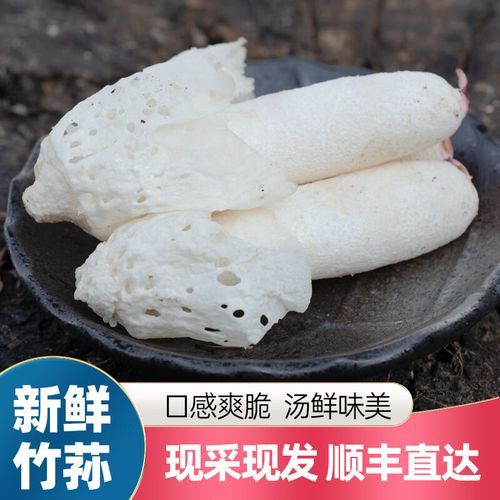 长裙竹荪和短裙竹荪的区别_哪个更好吃-第2张图片-山城妙识 长裙竹荪和短裙竹荪的区别_哪个更好吃-第2张图片-山城妙识