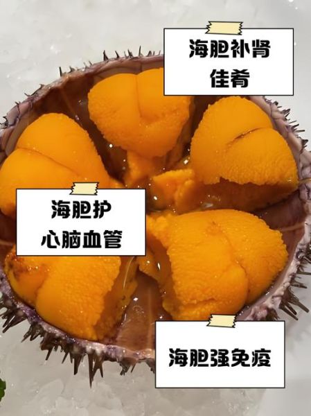 海胆怎么处理干净_海胆内脏怎么去除-第2张图片-山城妙识 海胆怎么处理干净_海胆内脏怎么去除-第2张图片-山城妙识