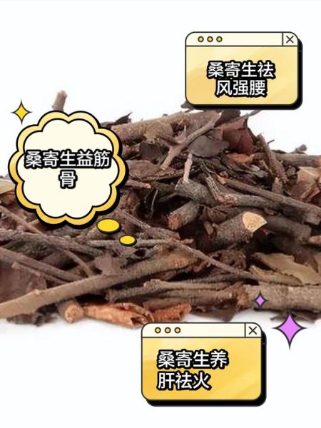 桑寄生泡水喝的功效_桑寄生泡水喝的禁忌-第2张图片-山城妙识 桑寄生泡水喝的功效_桑寄生泡水喝的禁忌-第2张图片-山城妙识
