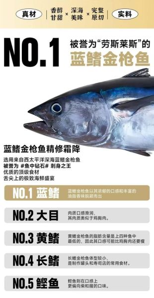 金枪鱼多少钱一斤人民币_新鲜金枪鱼价格-第3张图片-山城妙识 金枪鱼多少钱一斤人民币_新鲜金枪鱼价格-第3张图片-山城妙识