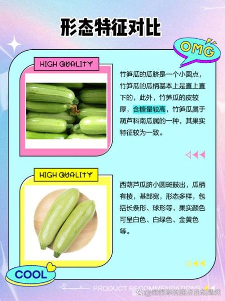西葫芦和瓠子的区别_怎么区分-第1张图片-山城妙识 西葫芦和瓠子的区别_怎么区分-第1张图片-山城妙识