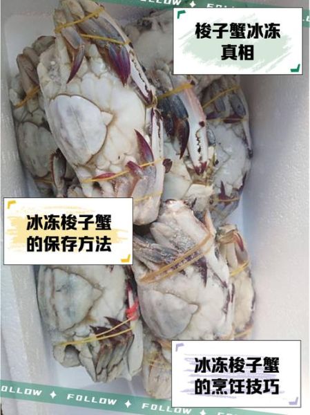 冰冻梭子蟹骗局揭秘_如何辨别真假-第1张图片-山城妙识