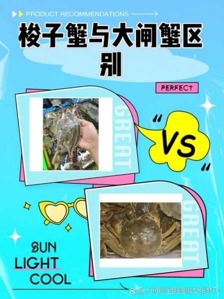 冰冻梭子蟹骗局揭秘_如何辨别真假-第2张图片-山城妙识