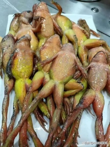 田鸡寄生虫多久煮死_田鸡煮多久才安全-第3张图片-山城妙识 田鸡寄生虫多久煮死_田鸡煮多久才安全-第3张图片-山城妙识