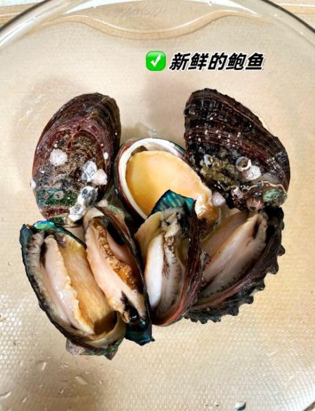 红烧香菇鲍鱼怎么做_家常红烧鲍鱼做法步骤-第3张图片-山城妙识 红烧香菇鲍鱼怎么做_家常红烧鲍鱼做法步骤-第3张图片-山城妙识