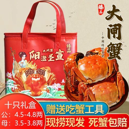 阳澄湖大闸蟹公母价格区别_如何挑选更划算-第2张图片-山城妙识