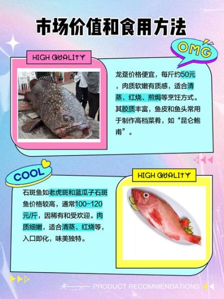龙趸和石斑鱼有什么区别_哪个更贵-第1张图片-山城妙识 龙趸和石斑鱼有什么区别_哪个更贵-第1张图片-山城妙识