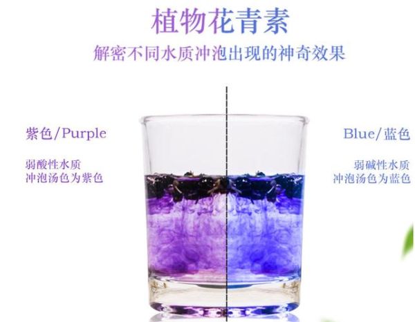 黑枸杞泡水颜色变化全过程_为什么会变色-第3张图片-山城妙识 黑枸杞泡水颜色变化全过程_为什么会变色-第3张图片-山城妙识