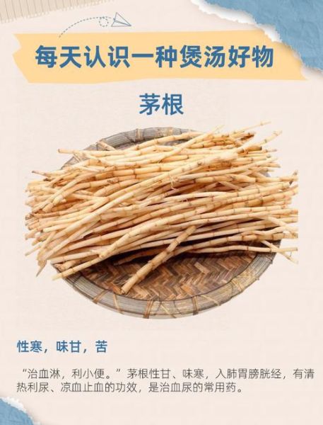 茅草根的功效与禁忌_哪些人不能吃-第1张图片-山城妙识