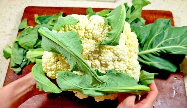 菜花叶子怎么做好吃_菜花叶子可以炒什么菜-第1张图片-山城妙识 菜花叶子怎么做好吃_菜花叶子可以炒什么菜-第1张图片-山城妙识