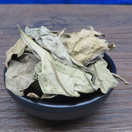 龙脷叶的功效与作用_龙脷叶能治什么病-第2张图片-山城妙识 龙脷叶的功效与作用_龙脷叶能治什么病-第2张图片-山城妙识