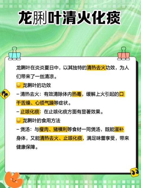 龙脷叶的功效与作用_龙脷叶能治什么病-第1张图片-山城妙识 龙脷叶的功效与作用_龙脷叶能治什么病-第1张图片-山城妙识