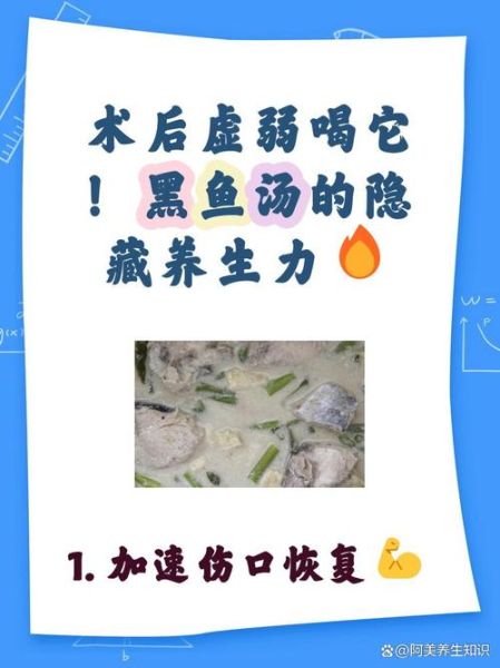 黑鱼汤的功效与作用_黑鱼汤适合什么人喝-第2张图片-山城妙识 黑鱼汤的功效与作用_黑鱼汤适合什么人喝-第2张图片-山城妙识