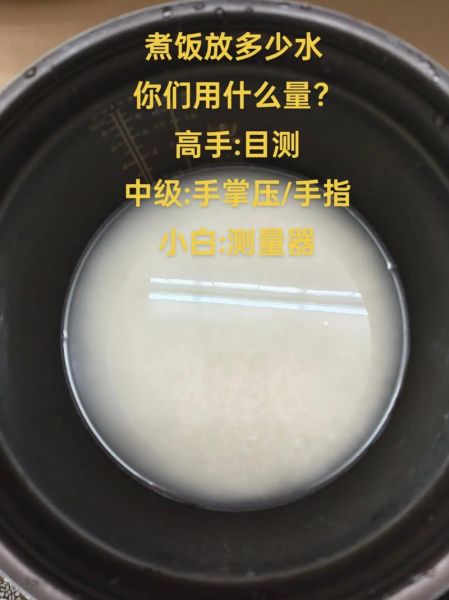 隔水蒸米饭水和米的比例_隔水蒸米饭水放多少合适-第1张图片-山城妙识 隔水蒸米饭水和米的比例_隔水蒸米饭水放多少合适-第1张图片-山城妙识