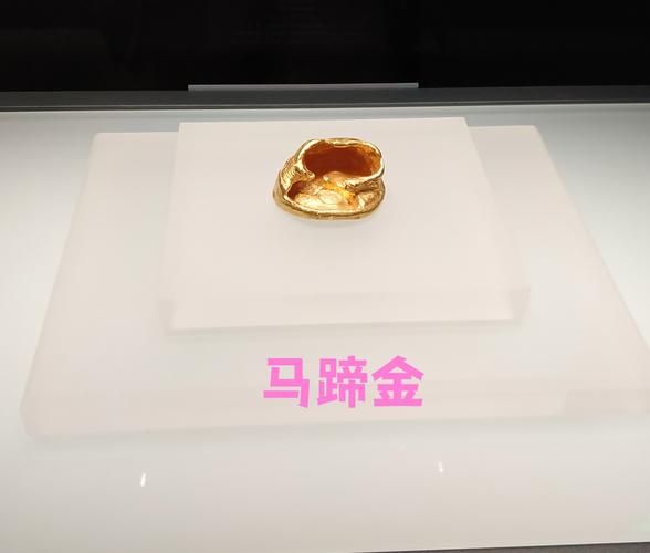 马蹄金价格多少钱一斤_马蹄金价格行情最新走势-第1张图片-山城妙识 马蹄金价格多少钱一斤_马蹄金价格行情最新走势-第1张图片-山城妙识