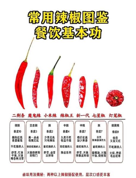 川菜和湘菜哪个更辣_川菜湘菜辣度区别-第1张图片-山城妙识 川菜和湘菜哪个更辣_川菜湘菜辣度区别-第1张图片-山城妙识