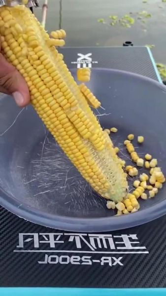 鲜玉米怎么剥粒_鲜玉米剥粒技巧-第3张图片-山城妙识 鲜玉米怎么剥粒_鲜玉米剥粒技巧-第3张图片-山城妙识