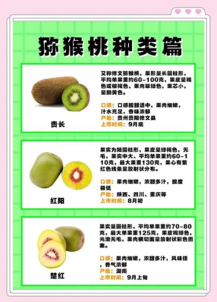 猕猴桃的热量是多少_减肥能吃吗-第2张图片-山城妙识