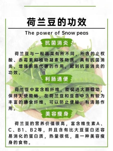 荷兰豆有点脆是没熟吗_如何判断荷兰豆熟没熟-第2张图片-山城妙识 荷兰豆有点脆是没熟吗_如何判断荷兰豆熟没熟-第2张图片-山城妙识
