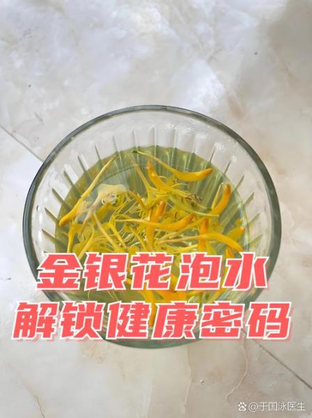 金银花泡水喝的禁忌_哪些人不能喝金银花茶-第1张图片-山城妙识 金银花泡水喝的禁忌_哪些人不能喝金银花茶-第1张图片-山城妙识