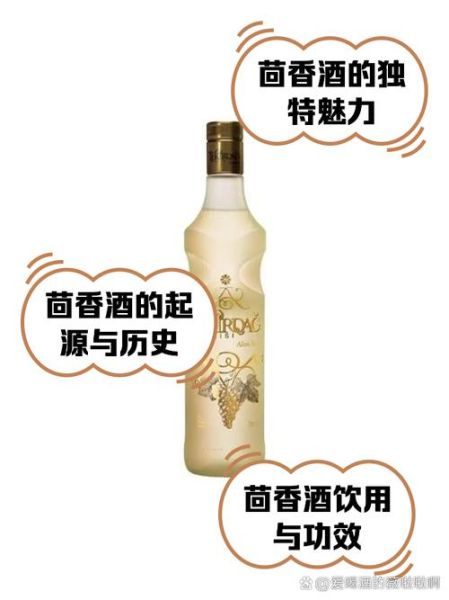 茴香酒怎么喝_茴香酒是什么酒-第1张图片-山城妙识