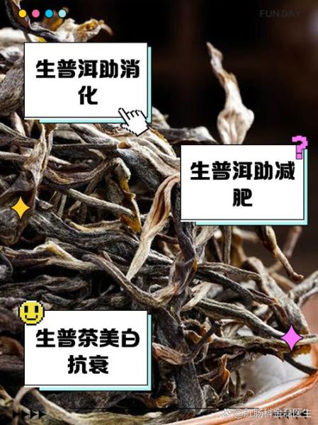 喝普洱茶的好处有哪些_普洱茶怎么喝才健康-第3张图片-山城妙识