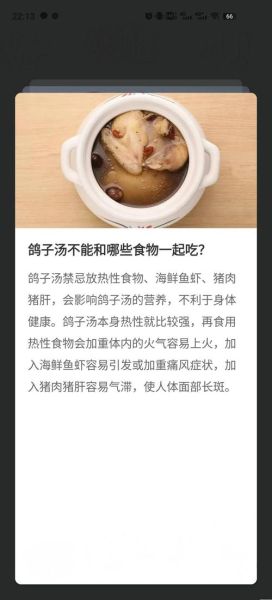 鸽子汤的营养价值_鸽子汤的禁忌人群-第2张图片-山城妙识